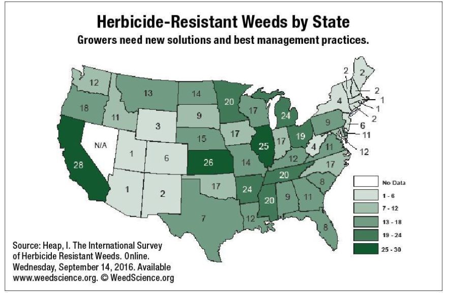 Herbicide Resistance: The Numbing Numbers From The Weed Wars - CropLife