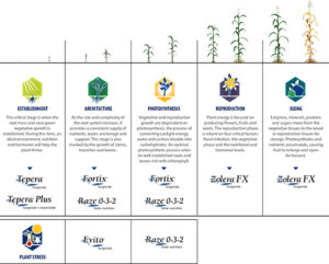 Unlocking Your Crop’s Potential at Each Stage - CropLife