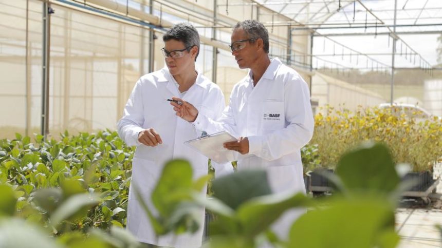 BASF Strengthens Innovation Pipeline for Sustainable Agriculture - CropLife